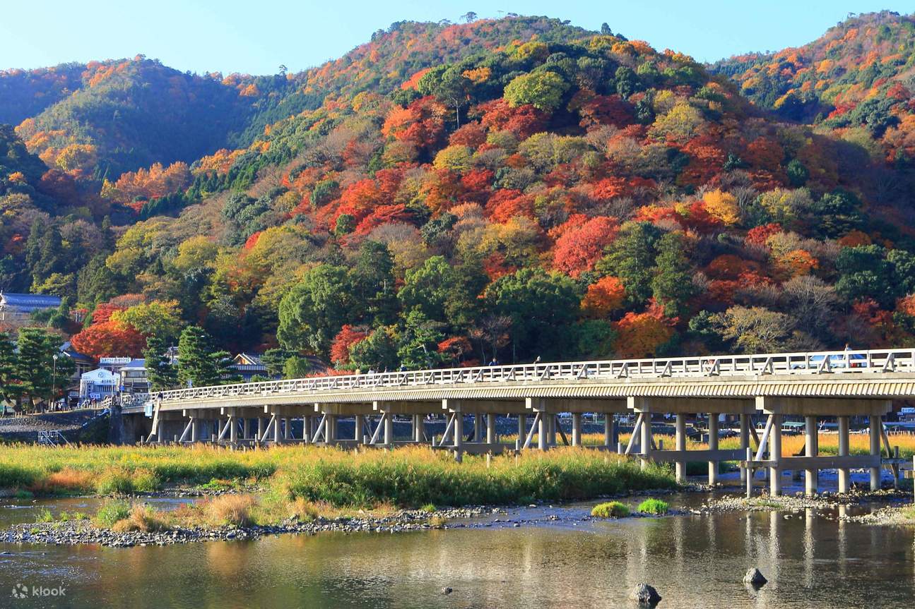 [Kyoto Nara Arashiyama Sagano Scenic Railway Cherry Blossom One-Day Tour] Hotel Pick-up ...